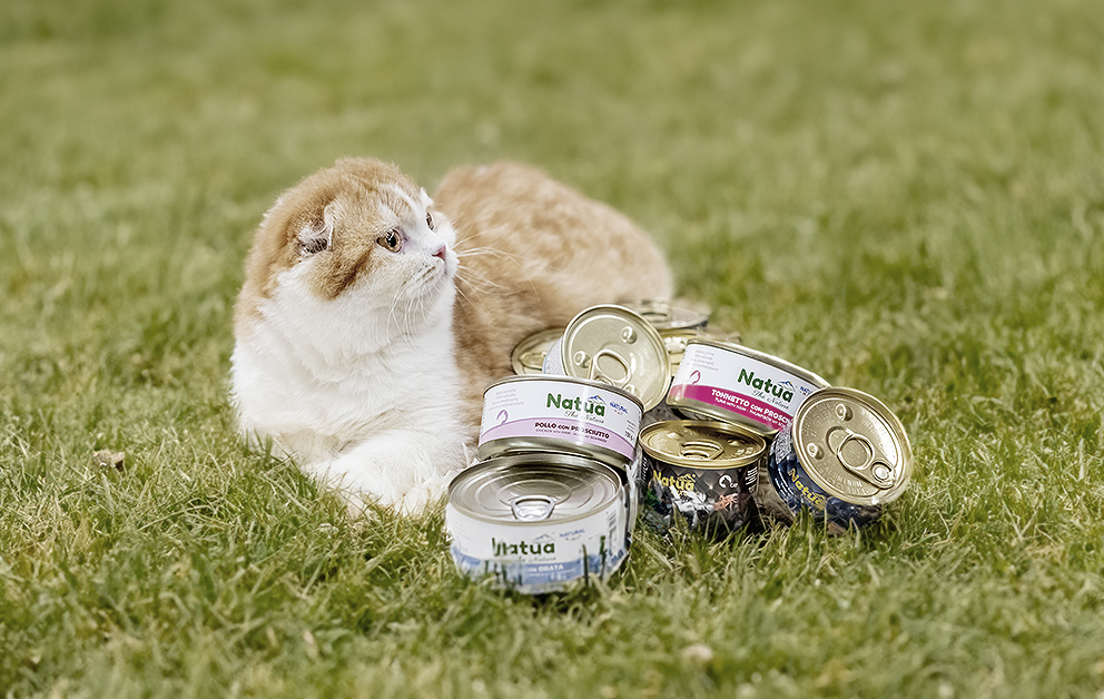Elevate Your Cat's Wellbeing with Superior Quality Nourishment and ...